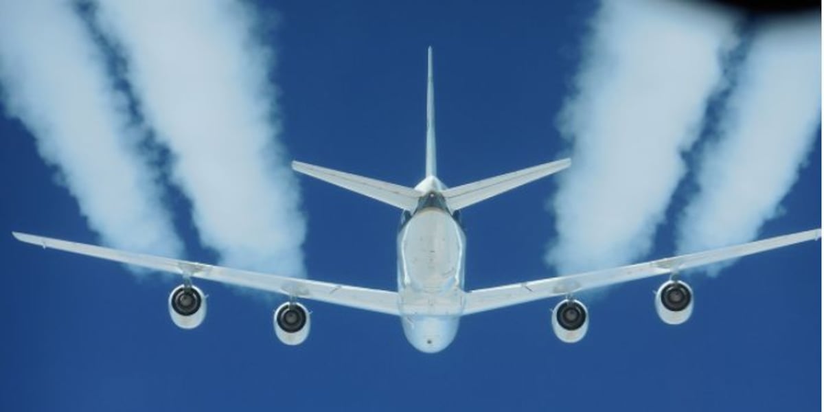 Topmember • Законодатели Луизианы продвигают в Палате представителей законопроект о запрете ...